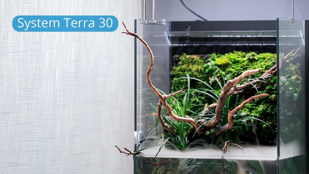 DOOA TERRARIOS - Venta en Tienda Online | NAscapers