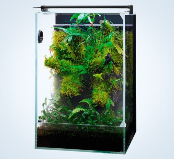 DOOA SYSTEM PALUDA: Nuevo Paludario con generador de niebla