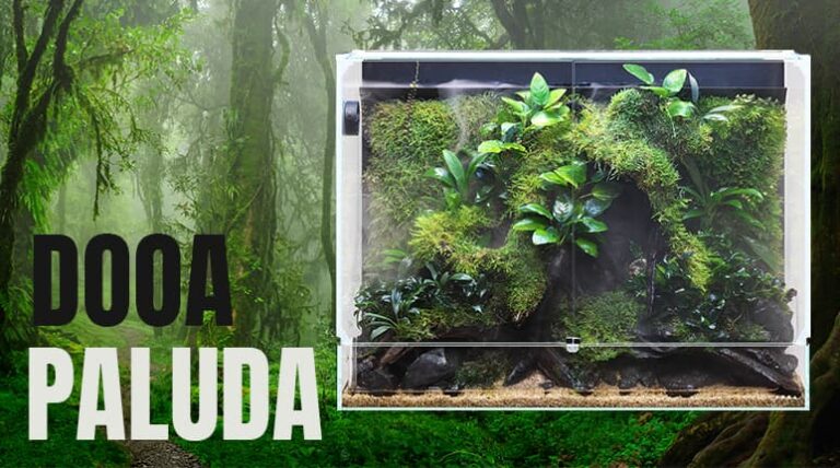 DOOA SYSTEM PALUDA: Nuevo Paludario con generador de niebla