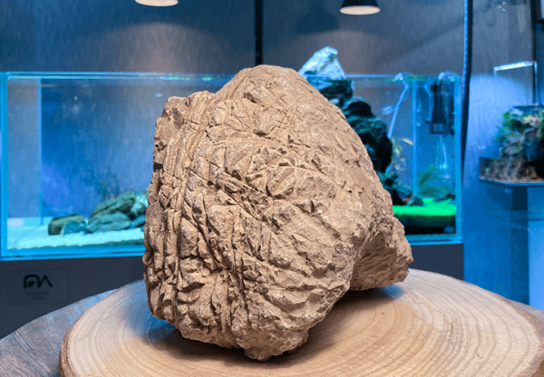 Las mejores rocas para paisajismo acuático - Blog NAscapers