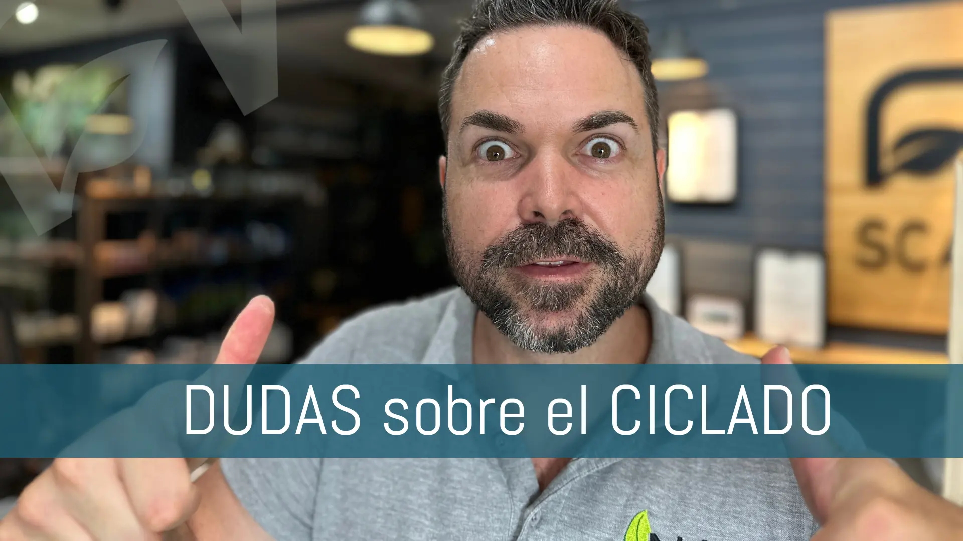 Dudas sobre el ciclado del acuario plantado - Artículo Blog | NA